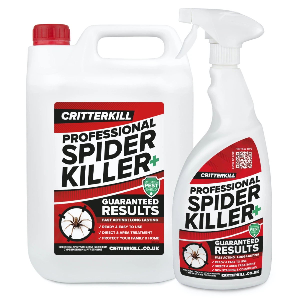 killer spider uk
