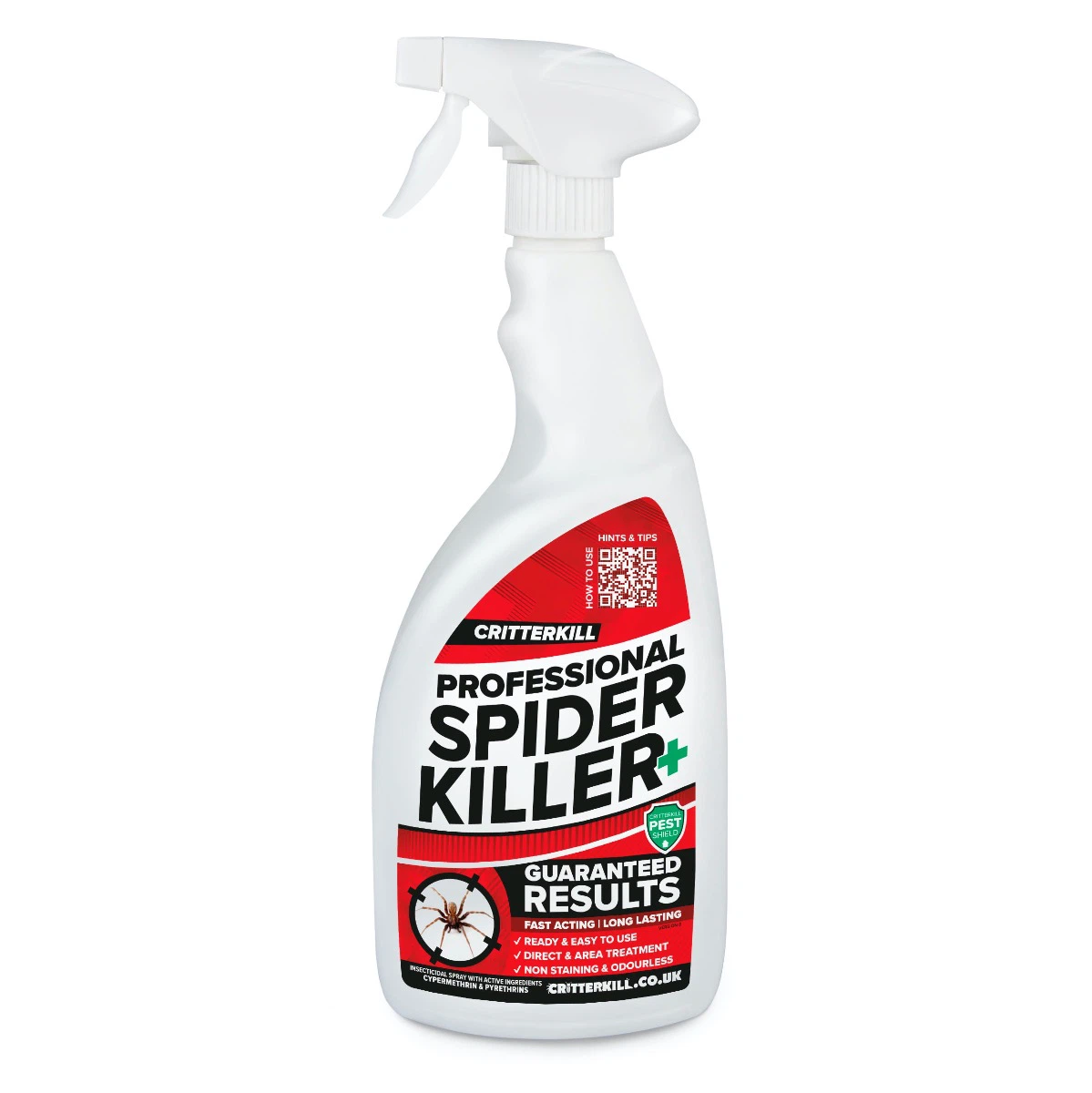 arachnid killer